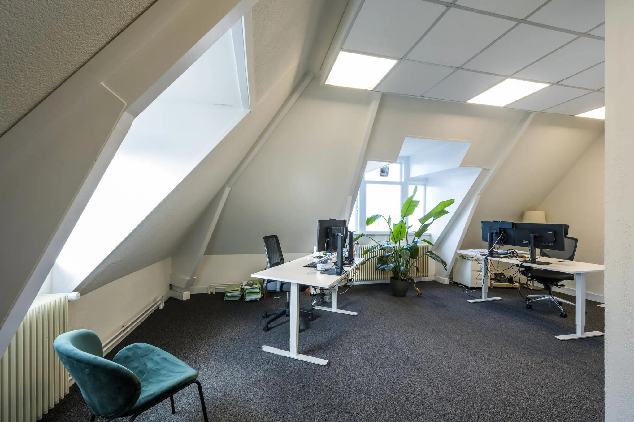 Van Eedenstraat 9, Haarlem | Deze locatie huren?